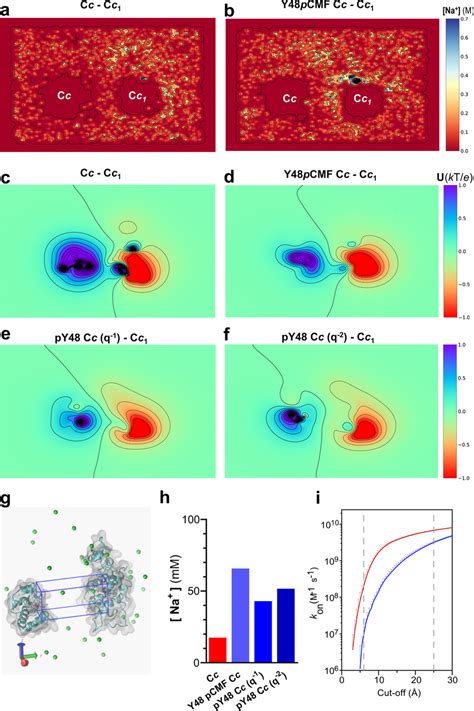 Molecular Dynamics Md Calculations Of Cc1 And Cc Display An Download Scientific Diagram
