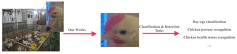 An Advanced Chicken Face Detection Network Based On Gan And Mae