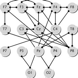 An Example Of A Graph Derived From The Synchronization Likelihood Download Scientific Diagram