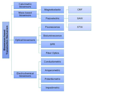 Classification Of Biosensors Based On Biorecognition Elements