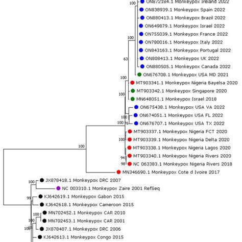 Merit And Demerits Of Mpox Diagnostic Techniques Download Scientific Diagram