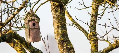 Ways To Hide Security Cameras