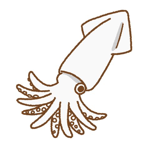 イカのイラスト 商用okの無料イラスト素材サイト ツカッテ