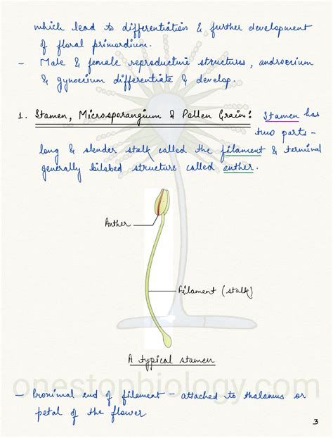 SOLUTION Class 12 Ncert Chapter 2 Sexual Reproduction In Flowering Plants Studypool
