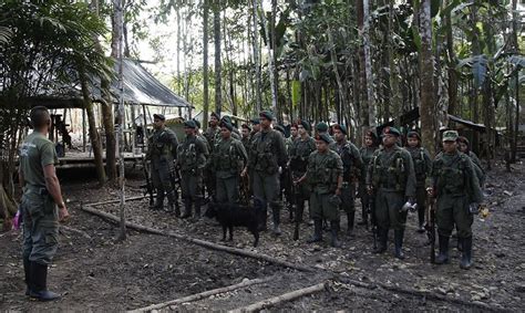Colombia Conmemora Ocho Años De Acuerdo De Paz Con Farc Entre La