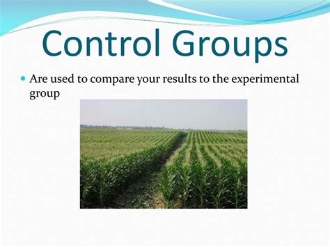 Ppt Biology Benchmark I Powerpoint Presentation Free Download Id