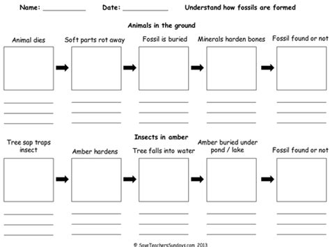 How Fossils Are Formed Lesson Plan And Worksheet Teaching Resources Teaching Resources
