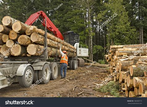 Log Loader Forestry Machine Loads Log Stock Photo Edit Now