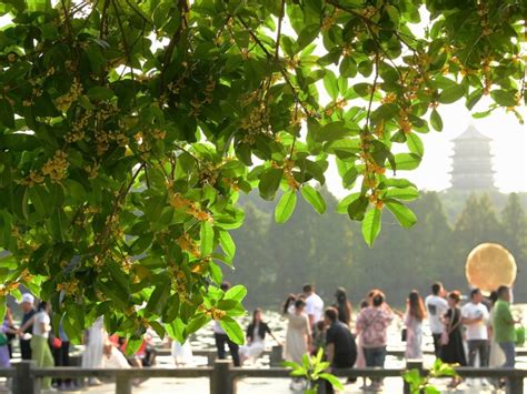 外套准备好了吗？马上到货的冷空气不可小觑，这天最高24℃