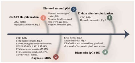 Igg4 Rd Igg4 Gerelateerde Ziekte Een Update Ntvaaki