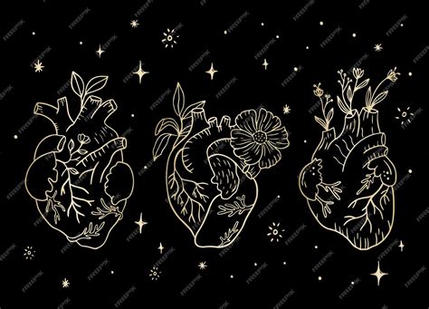 Premium Vector Anatomical Heart With Flowers Engraving Style