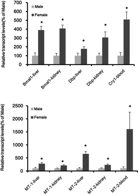 Sex Differences In MRNAs Levels Of Clock And MT At Their Peak In Males Download Scientific