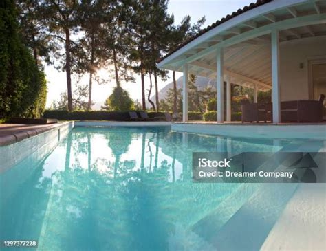 수영장과 식물 자연 나무와 녹색 잔디 주변의 햇빛이있는 하우스 가든 수영장 스포츠 경기장에 대한 스톡 사진 및 기타 이미지 수영장 스포츠 경기장 일몰 포치 Istock