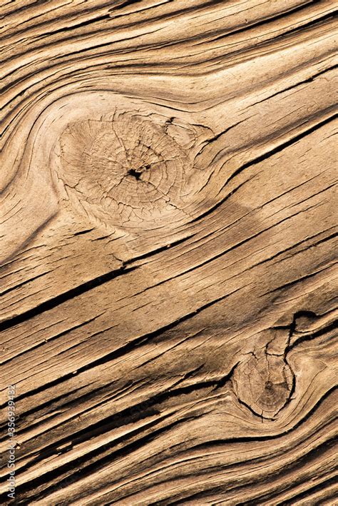 Erosion By Wind And Water Has Etched Out The Knots And Wood Grain In
