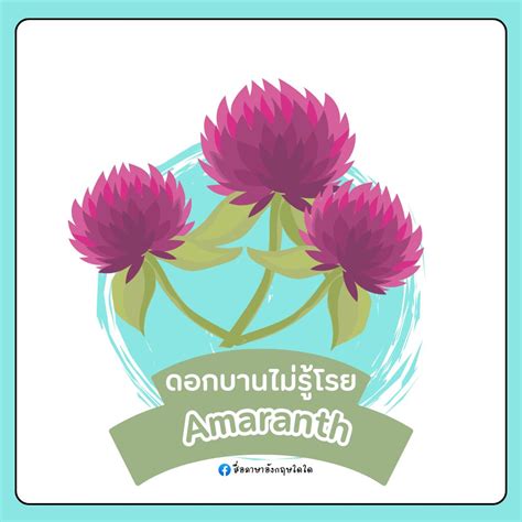 สื่อภาษาอังกฤษใดใด Added A New Photo สื่อภาษาอังกฤษใดใด