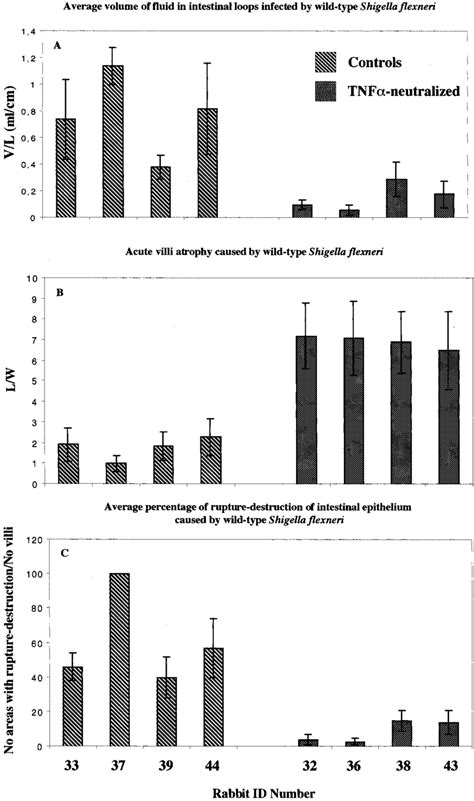 alterations observed in the rabbit intestinal ligated loop model model download scientific