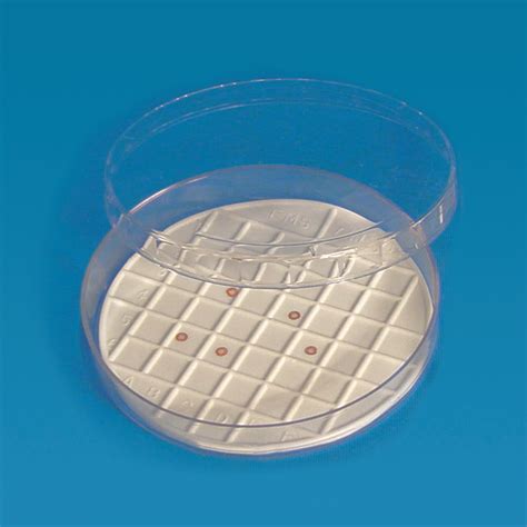 Square Grid Mat