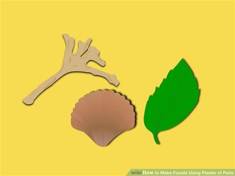 How To Make Fossils Using Plaster Of Paris 13 Steps