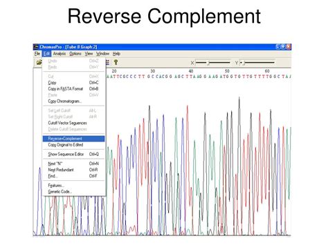 Ppt Dna Sequencing And Identification Of Encoded Genes Powerpoint