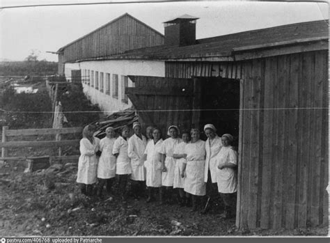 Колхоз Имени Ленина Тамбовский Район Фотографии — Картинки фотографии