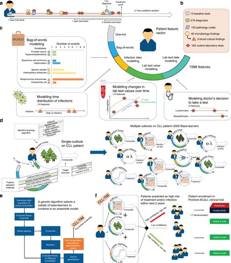 Machine Learning Can Identify Newly Diagnosed Patients With CLL At High Risk Of Infection