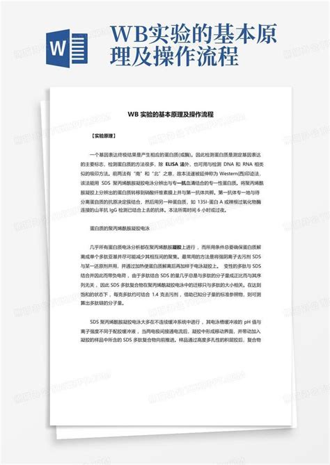 Wb实验的基本原理及操作流程word模板下载 编号lmgzpjje 熊猫办公