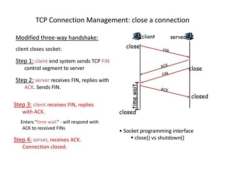 Ppt Understanding The Transportation Layer In Networking Powerpoint Presentation Id2853702 Ppt Understanding The Transportation Layer In Networking Powerpoint Presentation Id2853702