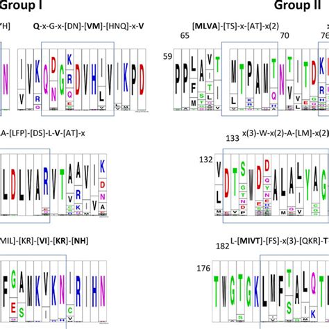 Pathway For The Biosynthesis Of Glutathione Download Scientific Diagram