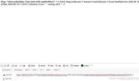 Ctfshow Web 78 88，web116 117 Wp Csdn博客