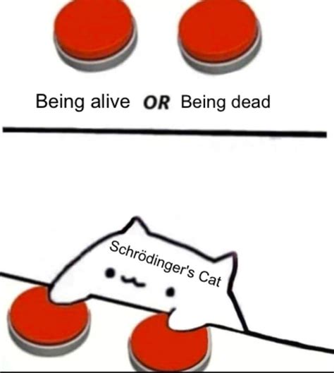 Official Listing Of All Dead Memes