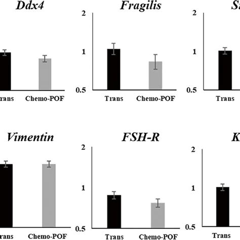 Setting Up The Decellularization Protocol For Human Cortical Ovarian Download Scientific