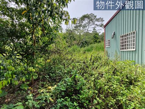 南投中寮45分開心農場 南投縣中寮鄉中寮段房屋 Yc0183045 有巢氏房屋