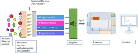 Recent Advances In Development Of Electrochemical Biosensors For The Detection Of Biogenic