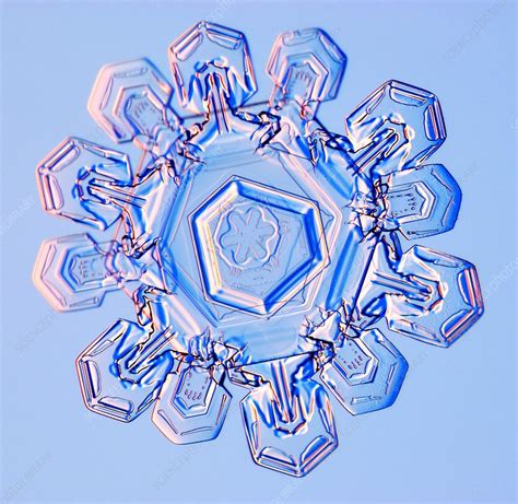 Double Snowflake Stock Image E127 0403 Science Photo Library