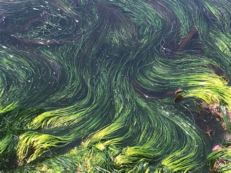 Gender Diversity Workshop Sees Limited Attendance Canada Info