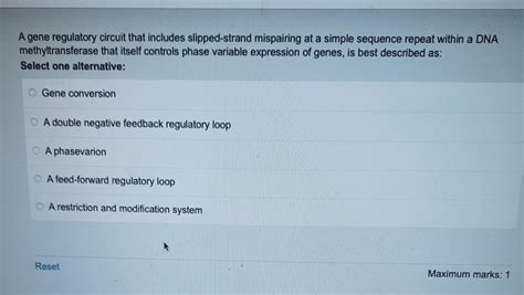 Solved A Gene Regulatory Circuit That Includes