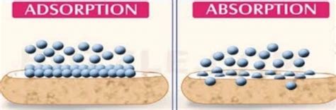 Adsorption And Absorption Adsorbtion Definition Examples
