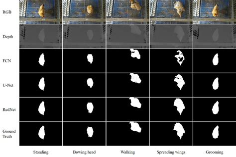 Qualitative Comparison Of The Rednet Resnet 50 And The Recent