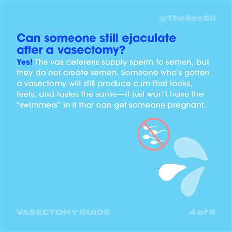 Vasectomy Guide — The Sex Ed