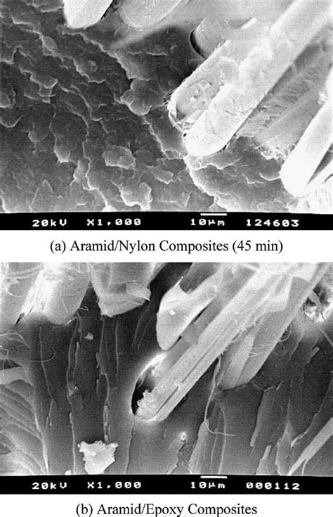 Comparison Of Interfacial Adhesion Properties Of Aramid Nylon And Download Scientific Diagram