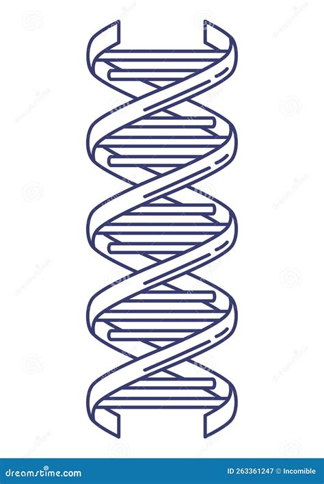Illustration Of Dna Model Medical And Scientific Item Stock Illustration Illustration Of