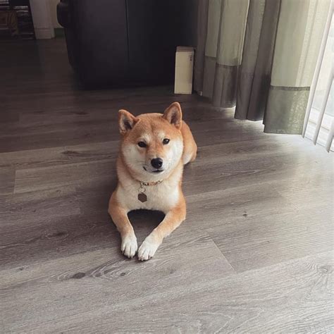 Vsc Vsc Vsc R Formuladank