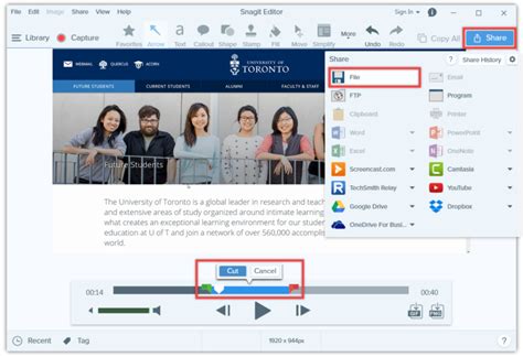 Snagit Centre For Teaching Support Innovation