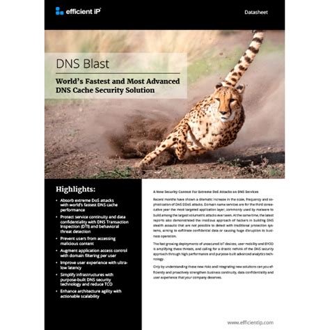 Cisco Umbrella Dns Guardian Integration Efficient Ip