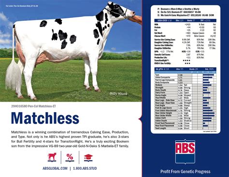 Abs Bull Flyer On Behance