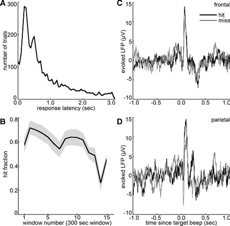 Figure 1 From Prestimulus Frontal Parietal Coherence Predicts Auditory