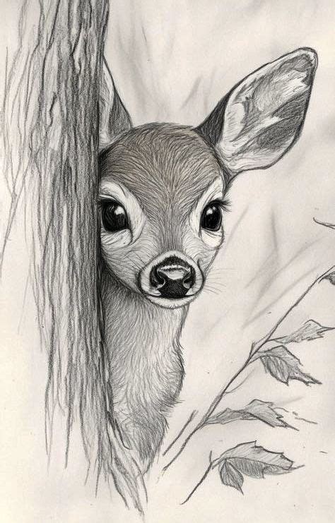 Cute Deer Drawing Realistic