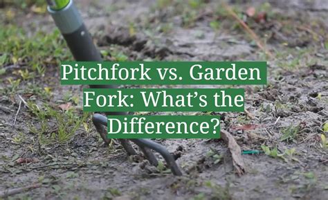 Pitchfork Vs Garden Fork Whats The Difference Gardenprofy