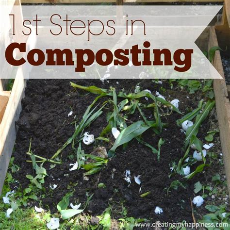1st Steps In Composting