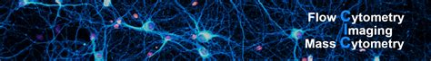 Cell Imaging And Cytometry Events Turku Bioscience Centre